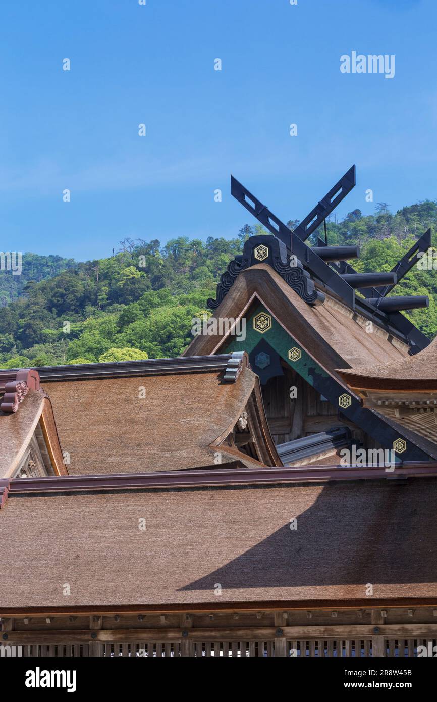 Main hall of the Izumo Taisha shrine Stock Photo - Alamy