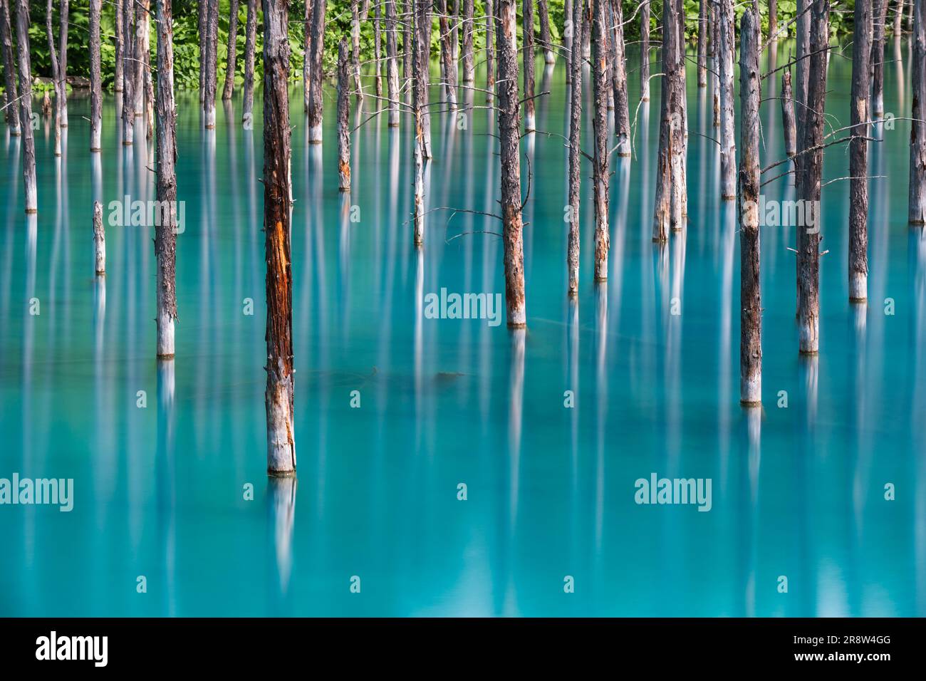 Afternoon at the pond hi-res stock photography and images - Alamy
