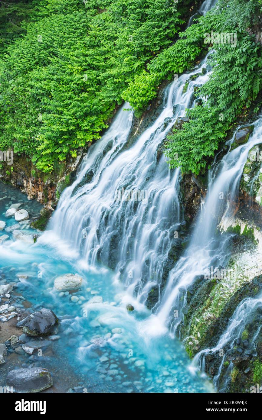 Shirahigenotaki waterfall in early summer Stock Photo - Alamy