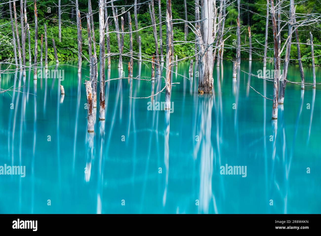 Afternoon at the pond hi-res stock photography and images - Alamy