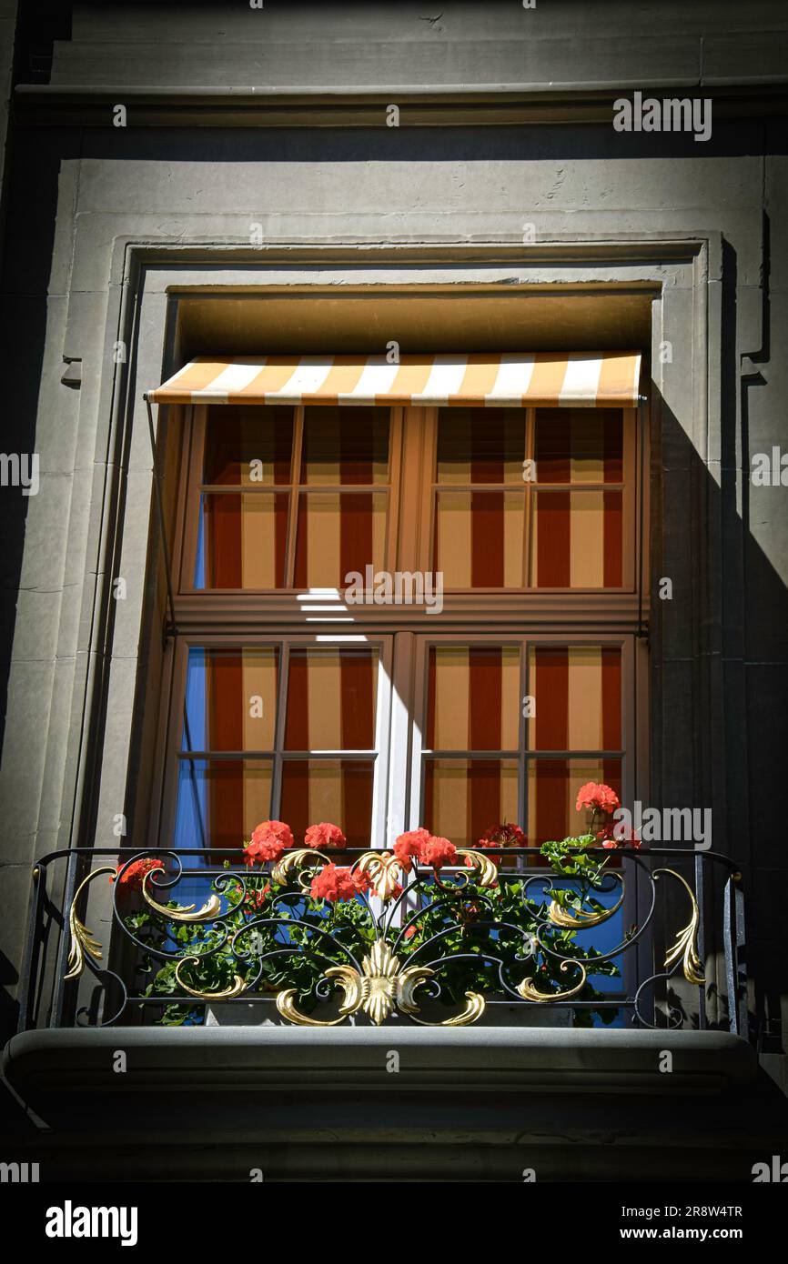 Sunlit Flowers in an Ornate Balcony of Bern, Switzerland Stock Photo ...