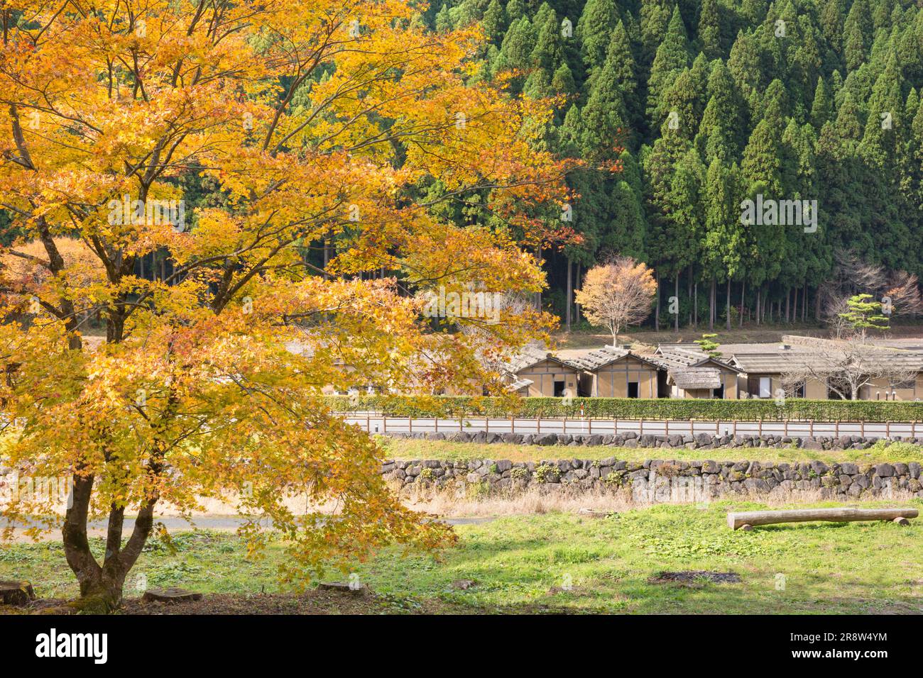 Ruins of the Ichijodani Asakura Clan in autumn Stock Photo - Alamy