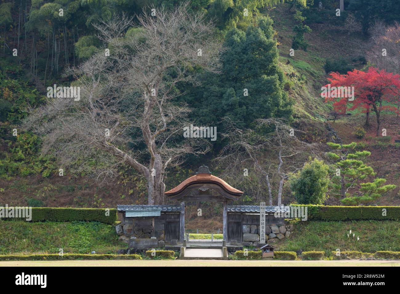 Ruins of the Ichijodani Asakura Clan in autumn Stock Photo - Alamy