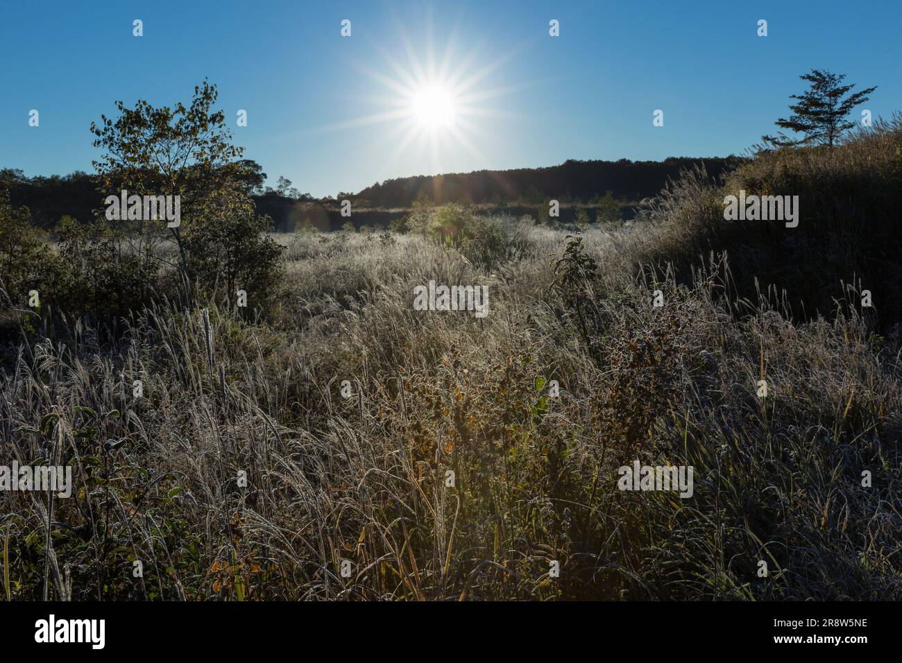 Frost days hi-res stock photography and images - Alamy