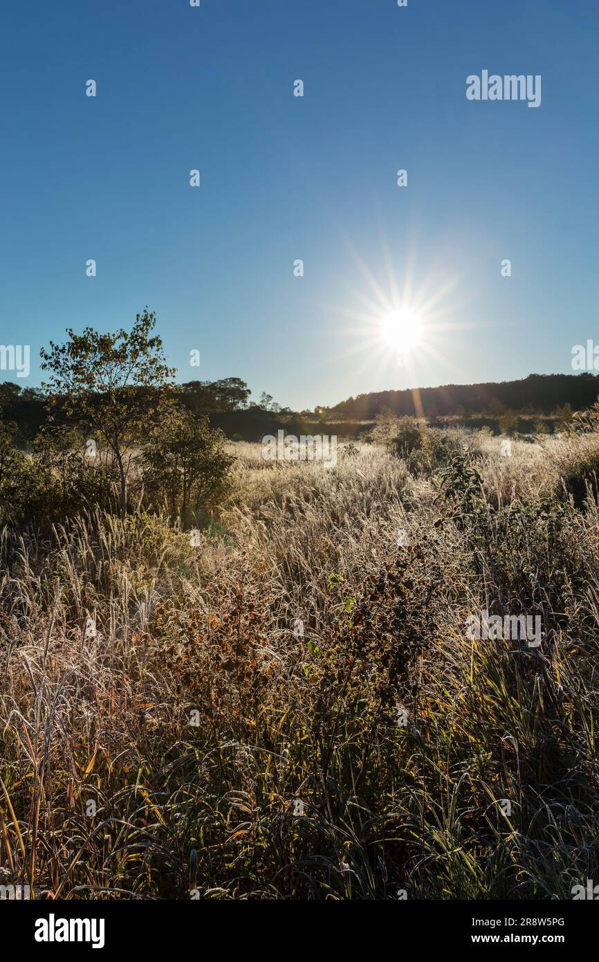Frost days hi-res stock photography and images - Alamy