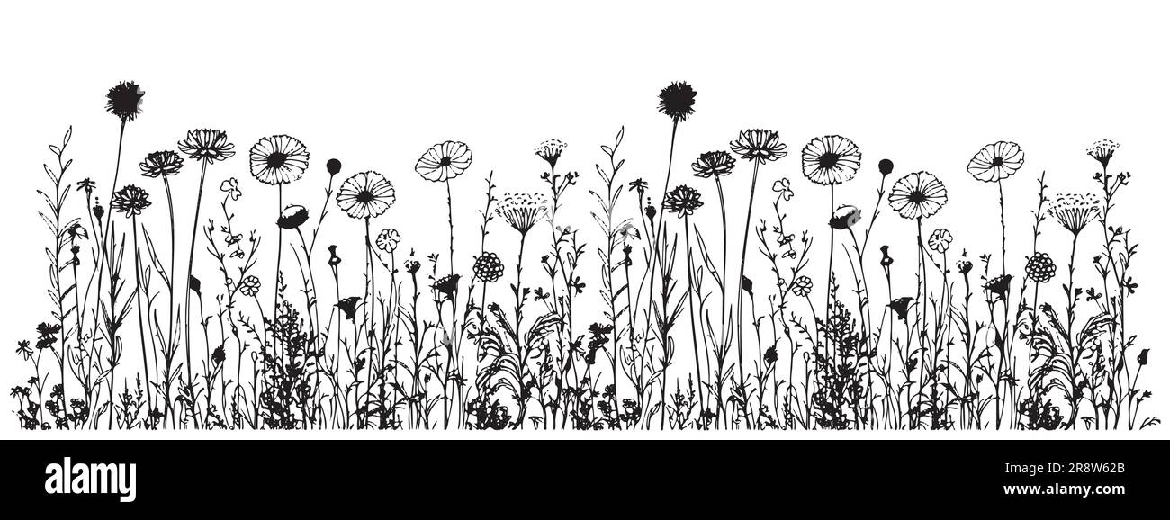 Meadow wildflowers border hand drawn sketch in doodle style ...