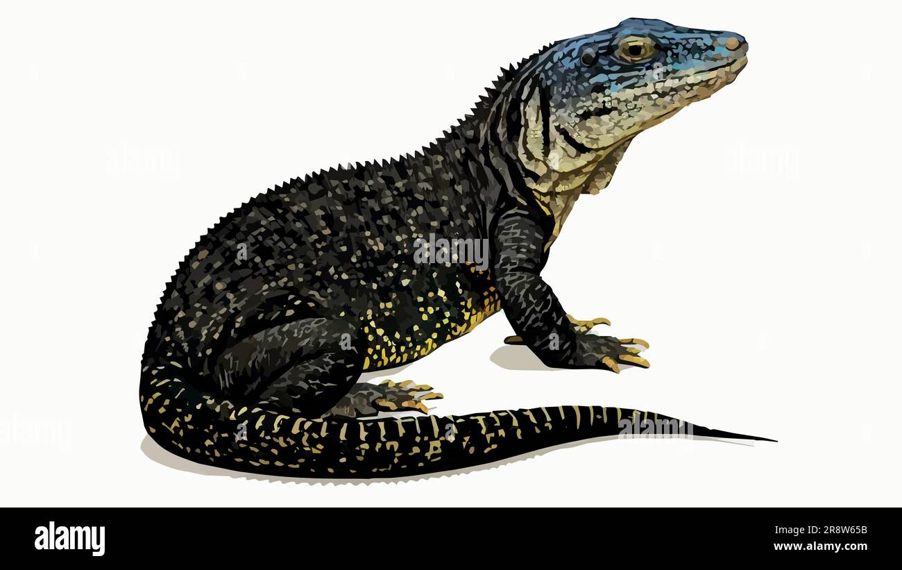 Asian water monitor Stock Vector Images - Alamy