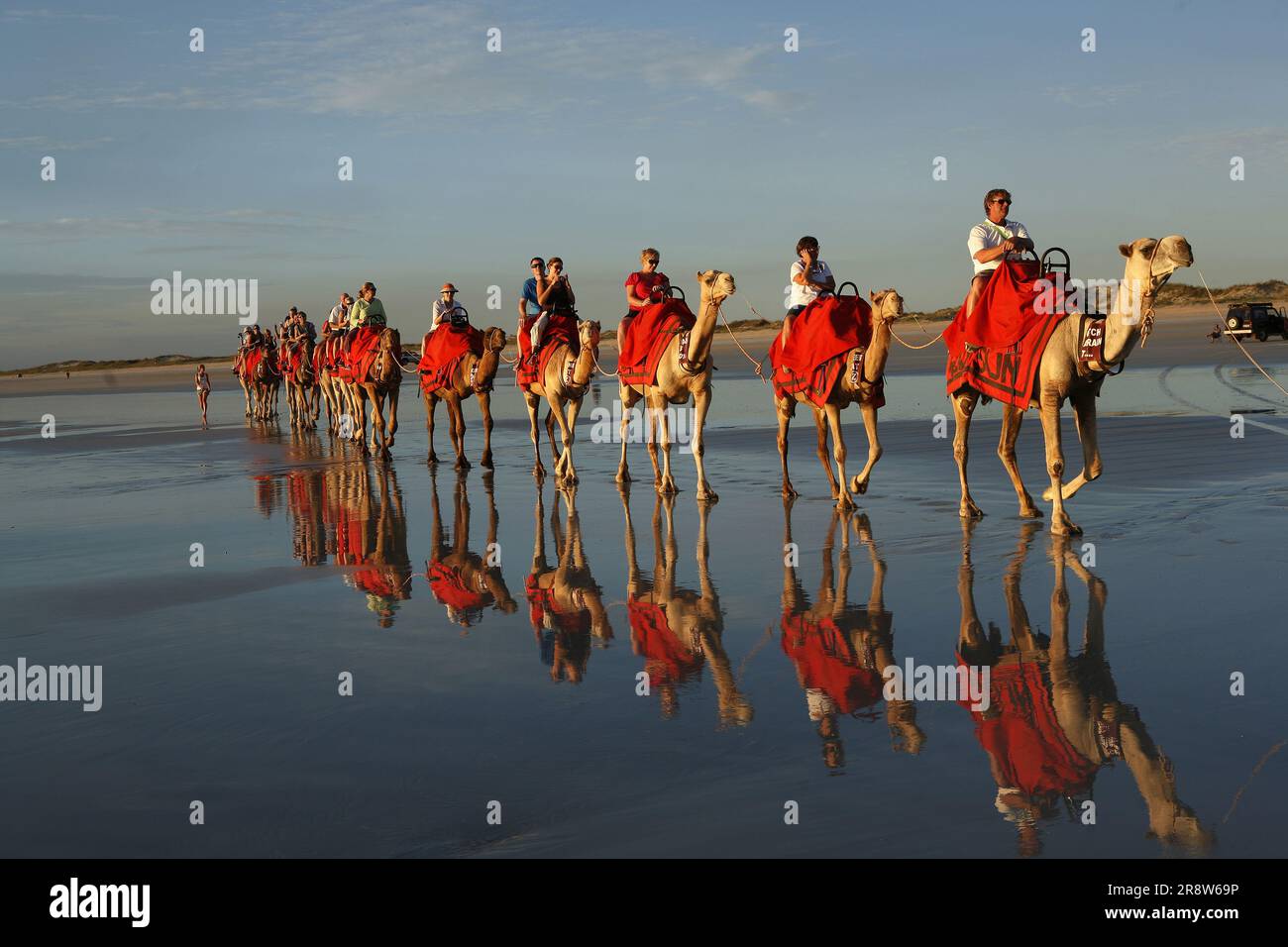 Family surfing australia hi-res stock photography and images - Alamy