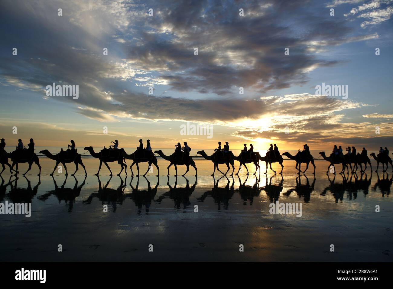 Camel procession in Broome Cable Beach, Western Australia Stock Photo ...