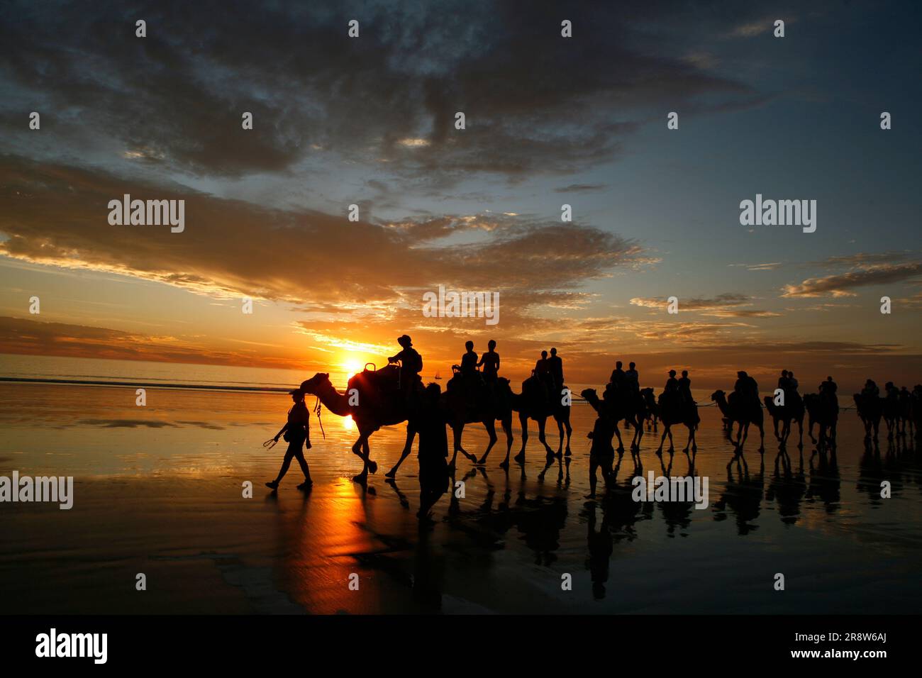 Camel tour australia hi-res stock photography and images - Alamy