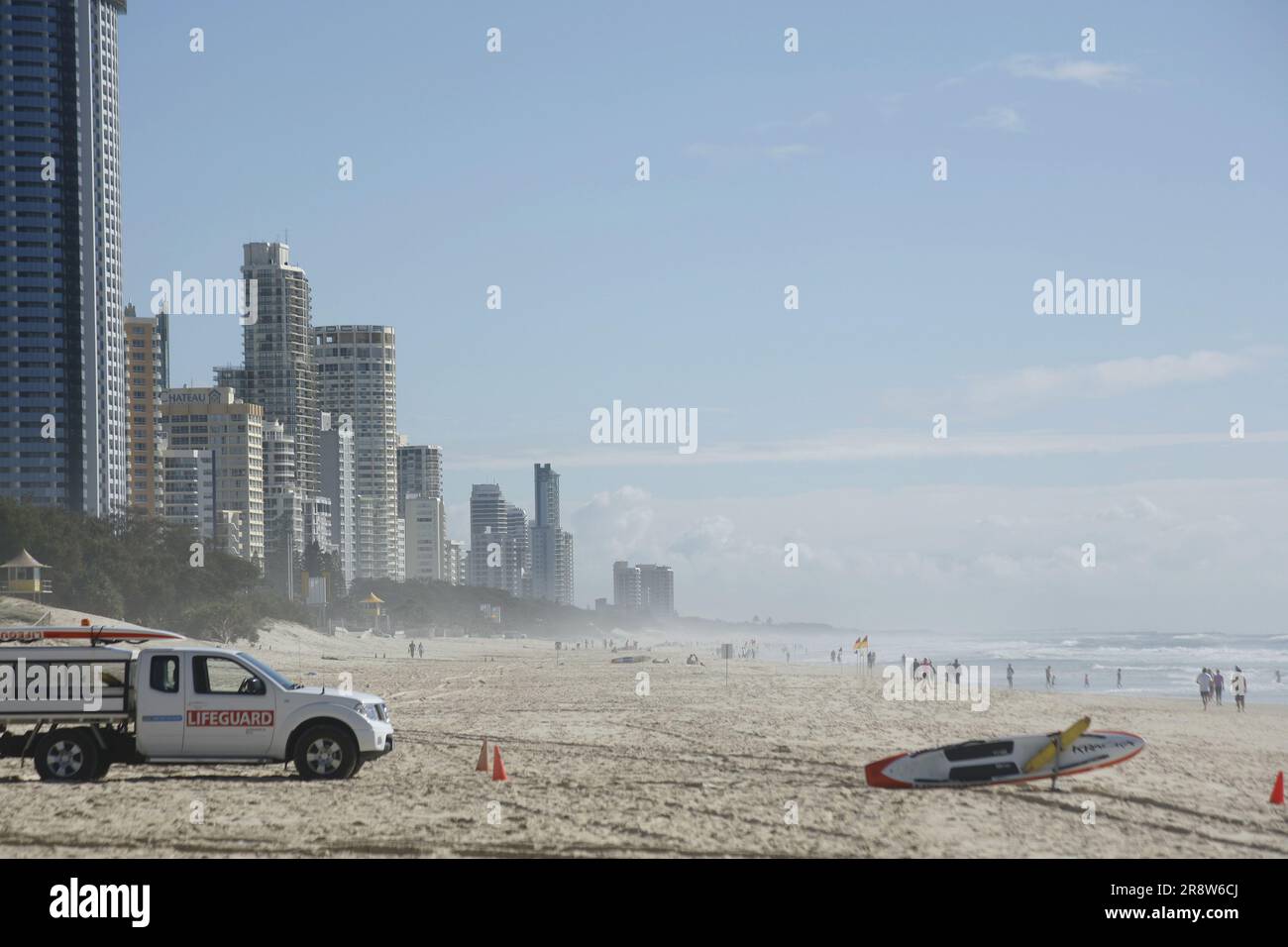 Australia gold coast forest hi-res stock photography and images - Alamy