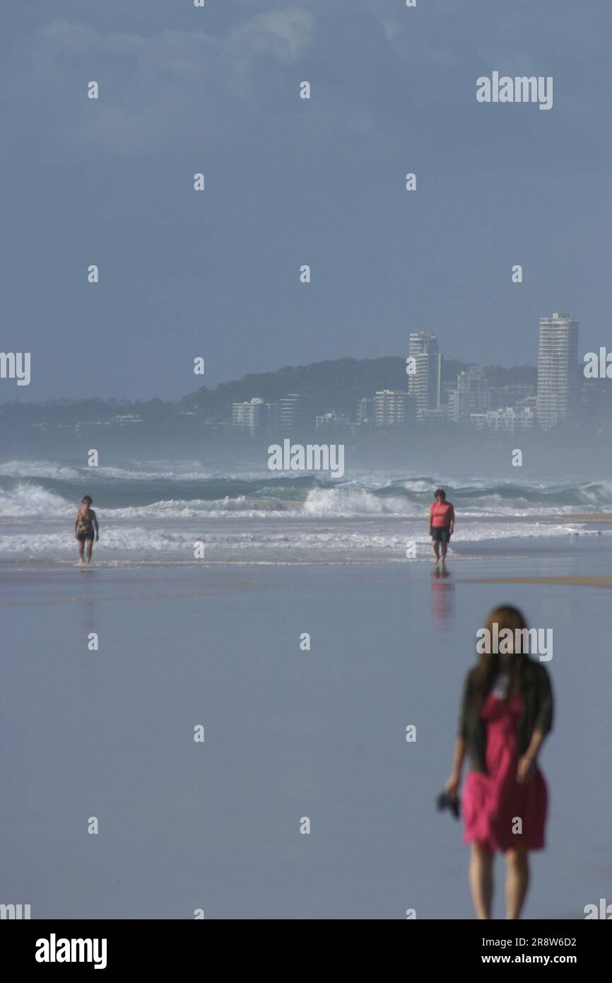 Gold Coast Beach and Building Forest Stock Photo - Alamy