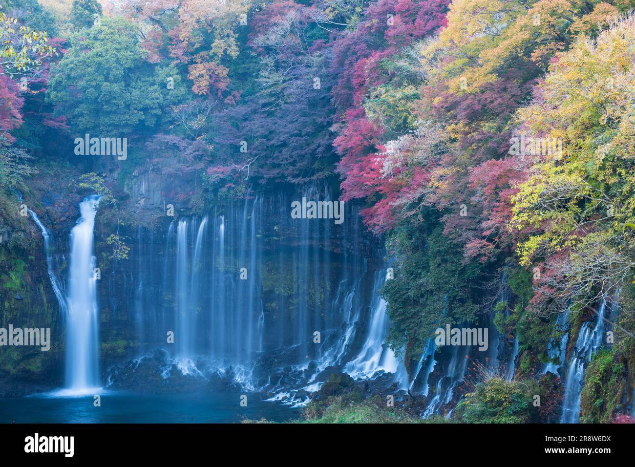 Shiraito Falls in autumn leaves Stock Photo - Alamy