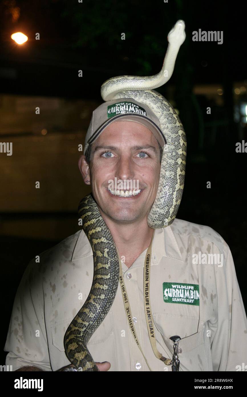 Snake at the Sunshine Coast Zoo Stock Photo - Alamy