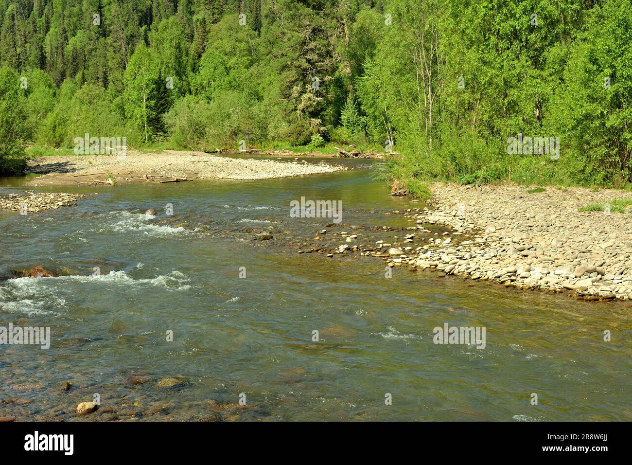 A shallow, turbulent river with a rocky bottom and banks calmly flows ...