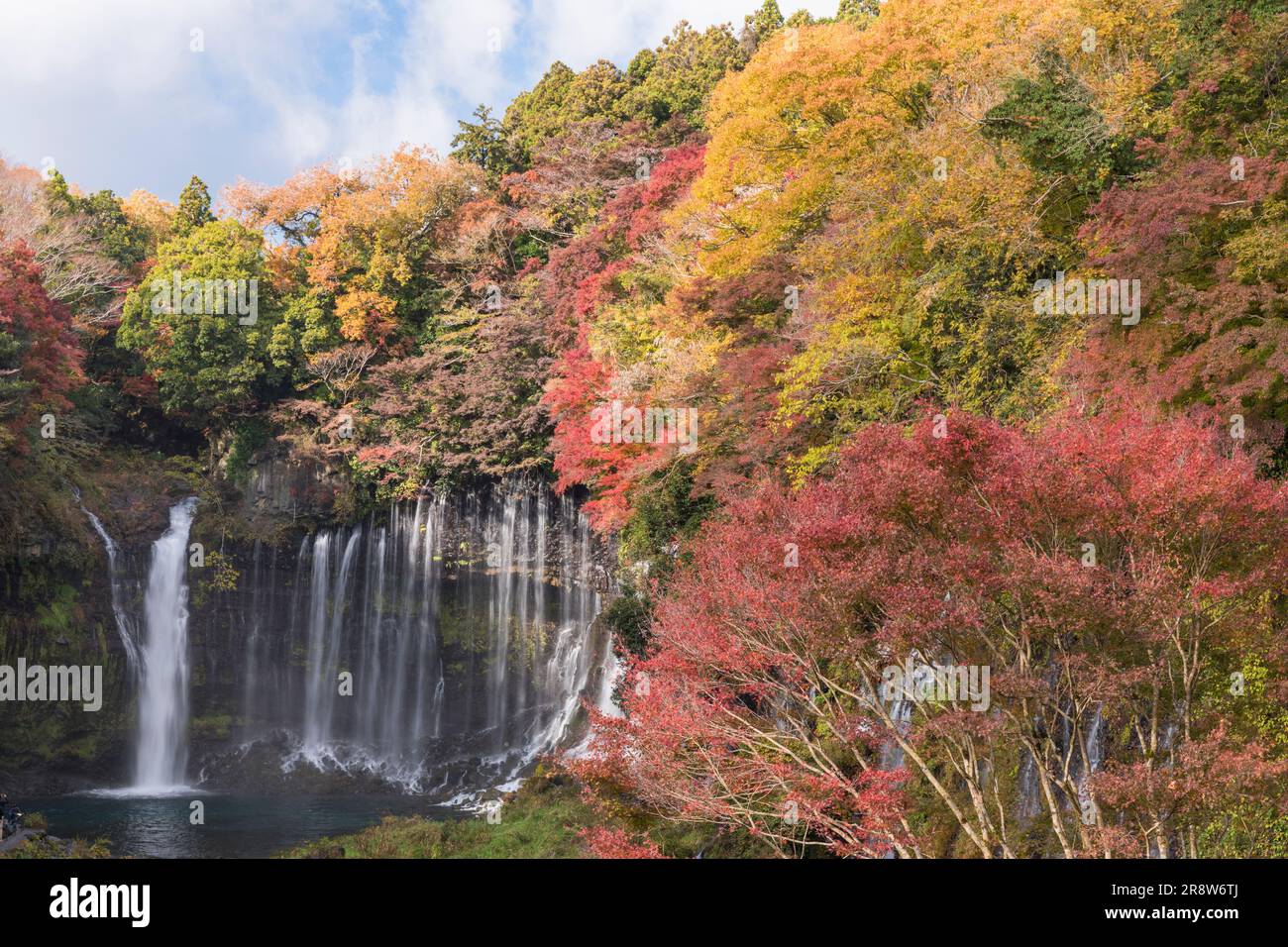 Shiraito Falls in autumn leaves Stock Photo - Alamy