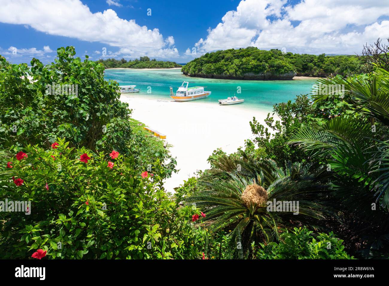 Daylight and summer bay hi-res stock photography and images - Alamy