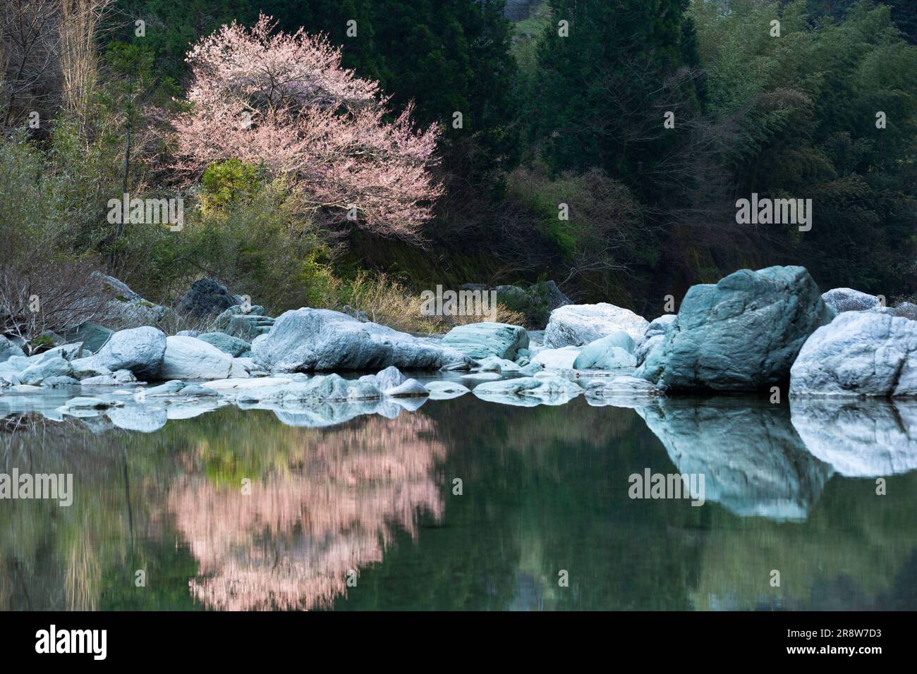 Niyodo river japan hi-res stock photography and images - Alamy