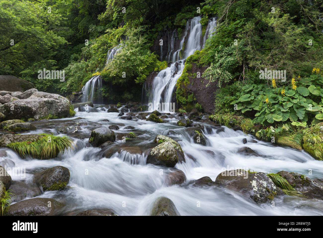 Doryuno waterfall hi-res stock photography and images - Alamy