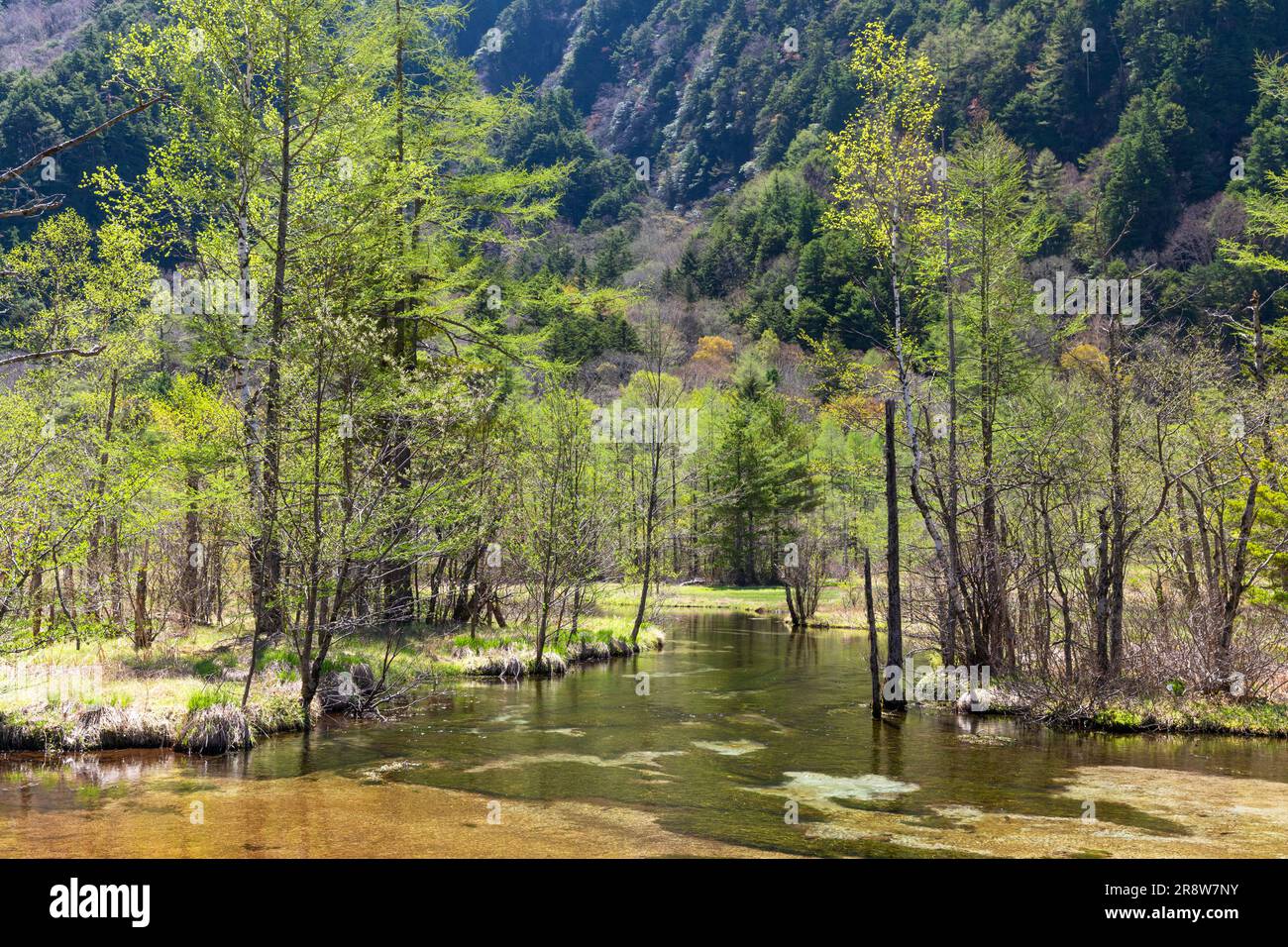 Tashiro hi-res stock photography and images - Alamy