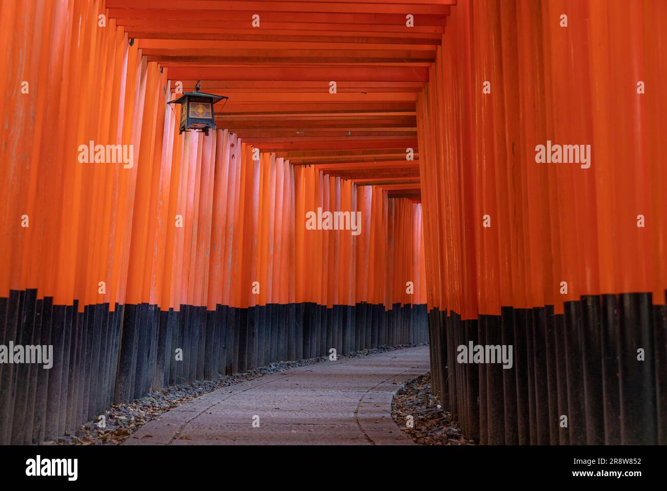 Senbon-torii gate of Fushimi Inari-taisha Shrine Stock Photo - Alamy