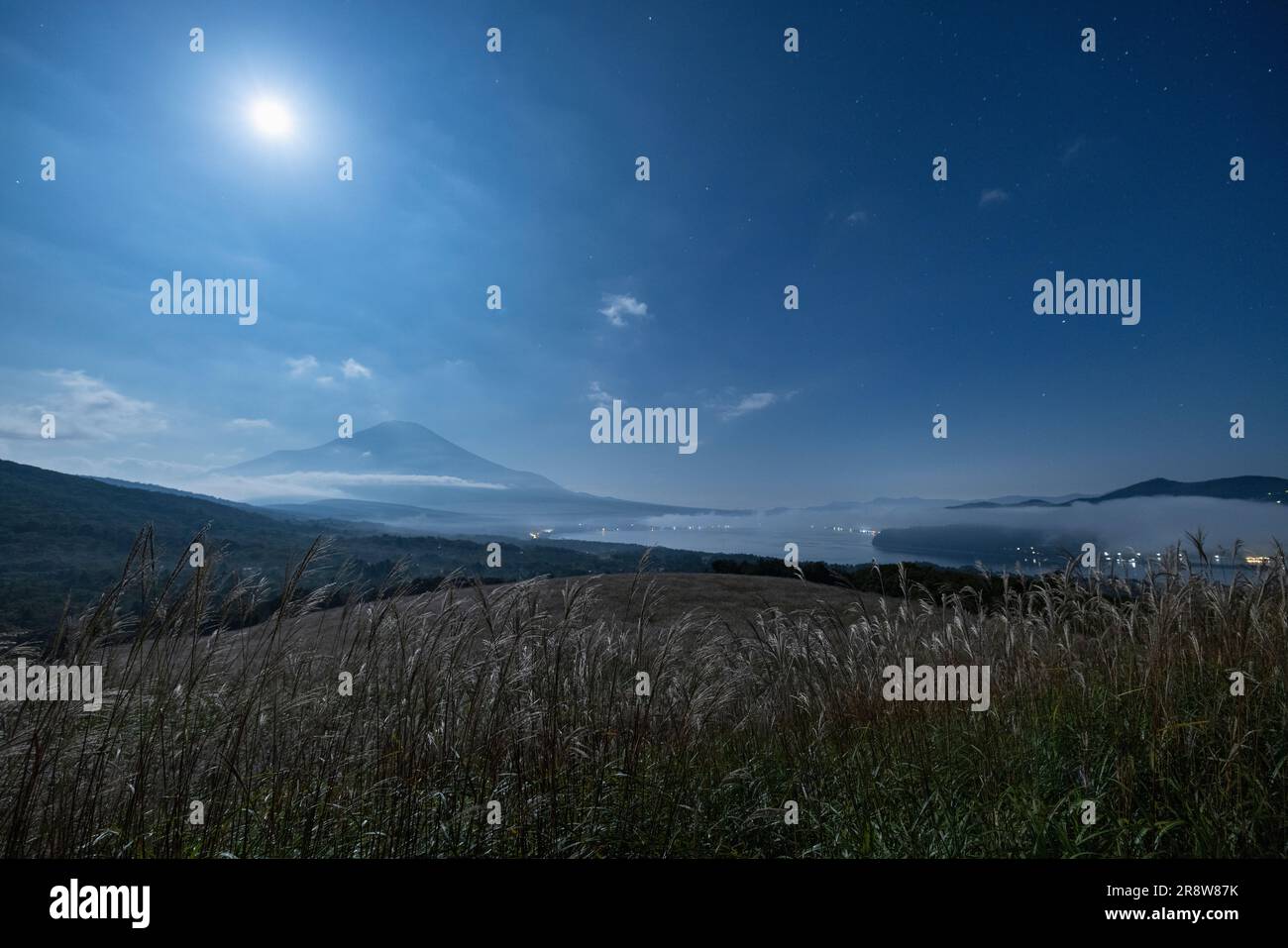 Moonlight on grass hi-res stock photography and images - Alamy