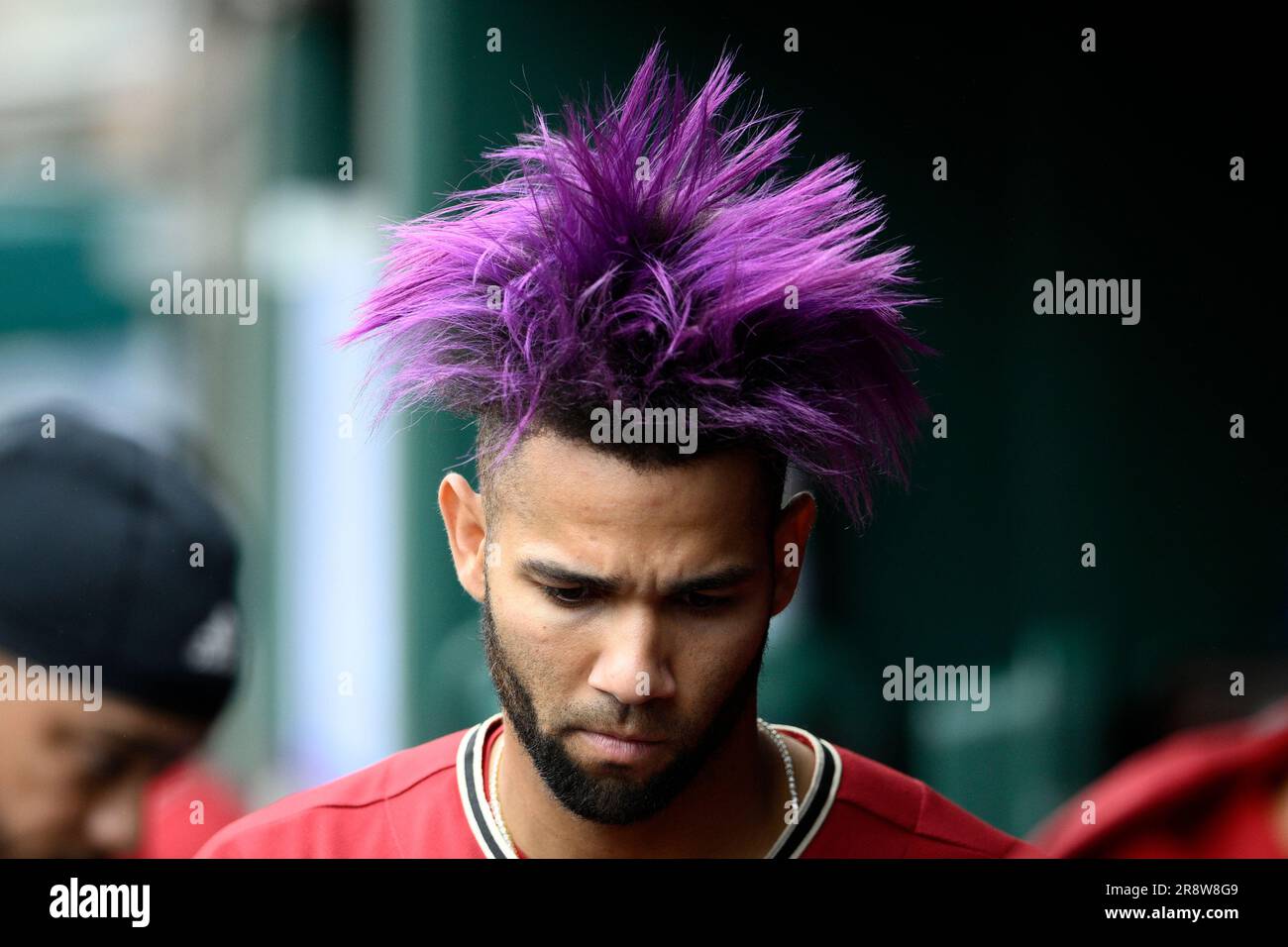 Arizona Diamondbacks' Lourdes Gurriel Jr. looks on during a baseball ...
