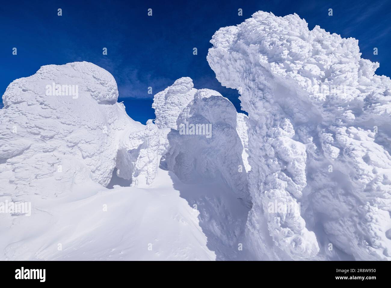 Juhyō in Zaō Stock Photo - Alamy