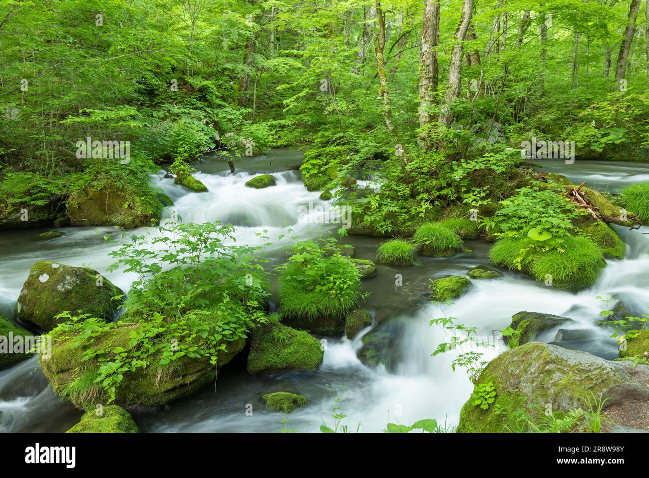 Oirase stream hi-res stock photography and images - Alamy