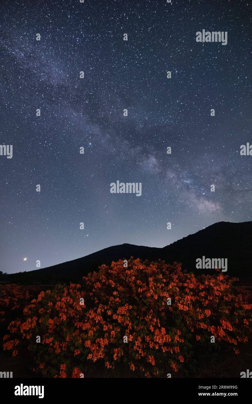 Appi kogen hi-res stock photography and images - Alamy