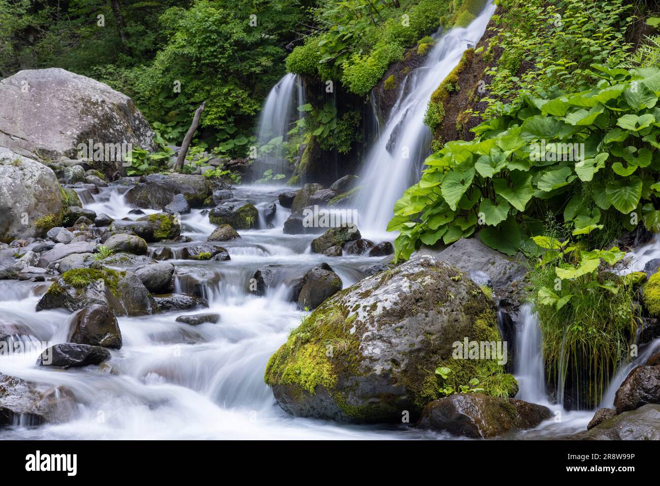 Doryuno waterfall hi-res stock photography and images - Alamy