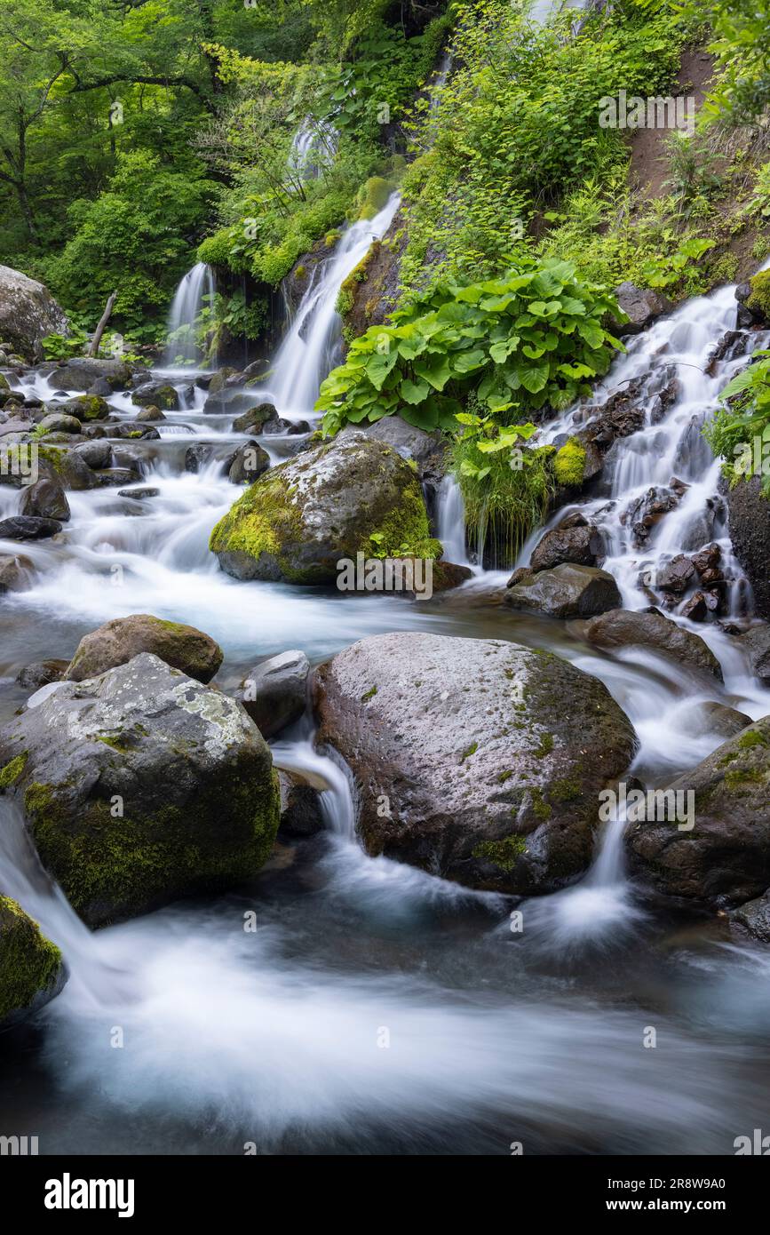 Doryuno waterfall hi-res stock photography and images - Alamy