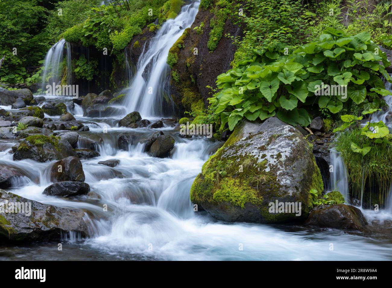 Doryuno waterfall hi-res stock photography and images - Alamy
