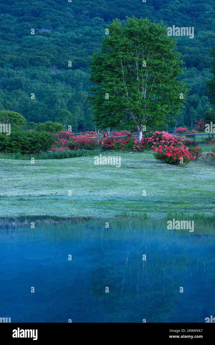 Appi kogen hi-res stock photography and images - Alamy