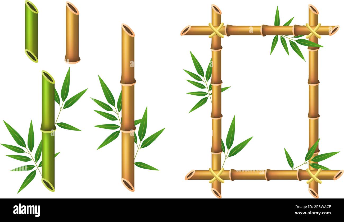 Realistic vector illustration of bamboo frame Stock Vector Image & Art ...