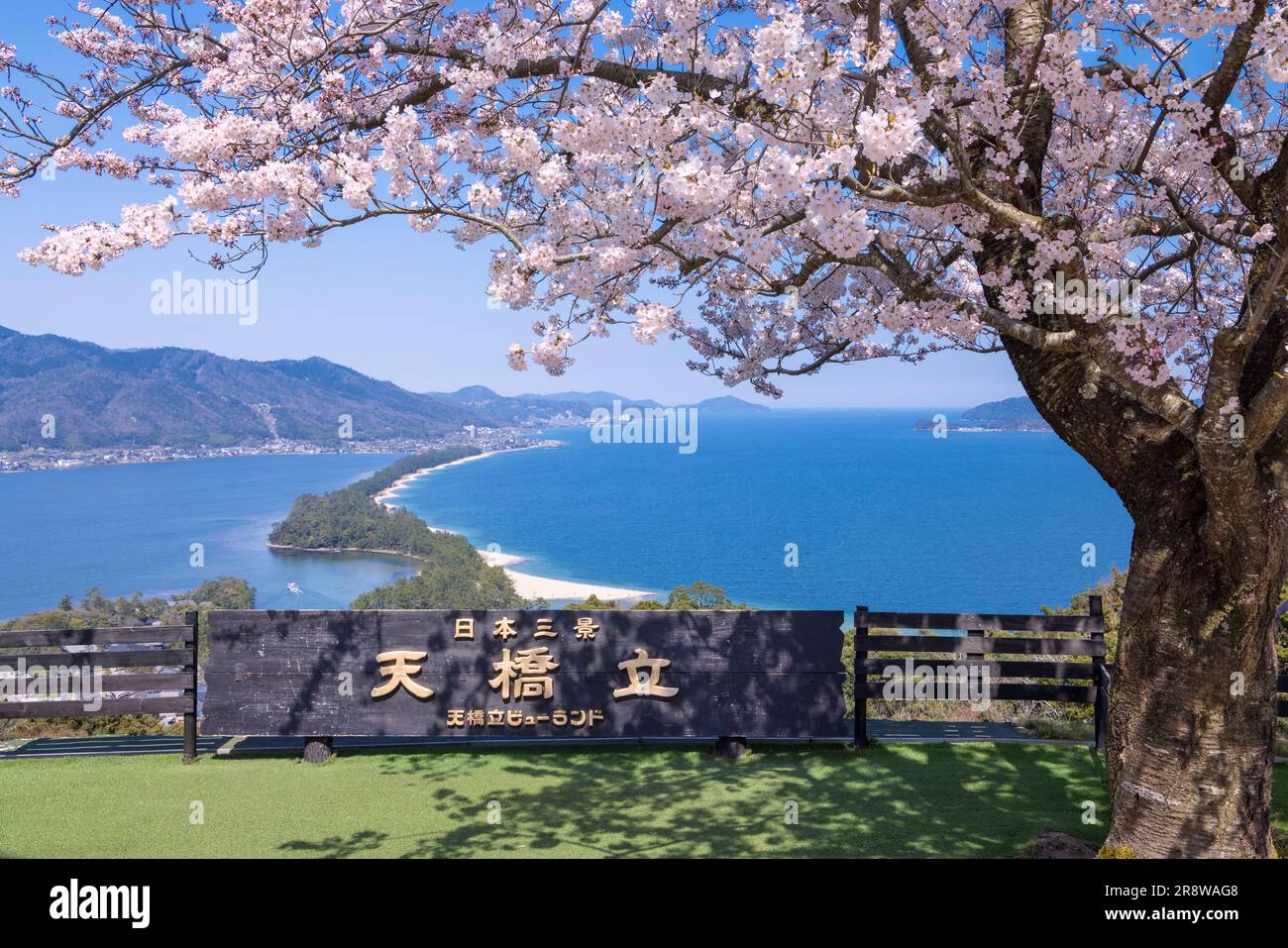 Cherry blossoms and Amanohashidate Stock Photo - Alamy