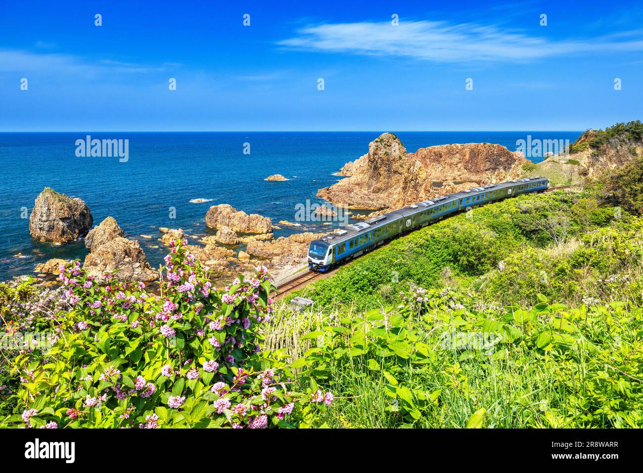 Gono line hi-res stock photography and images - Alamy
