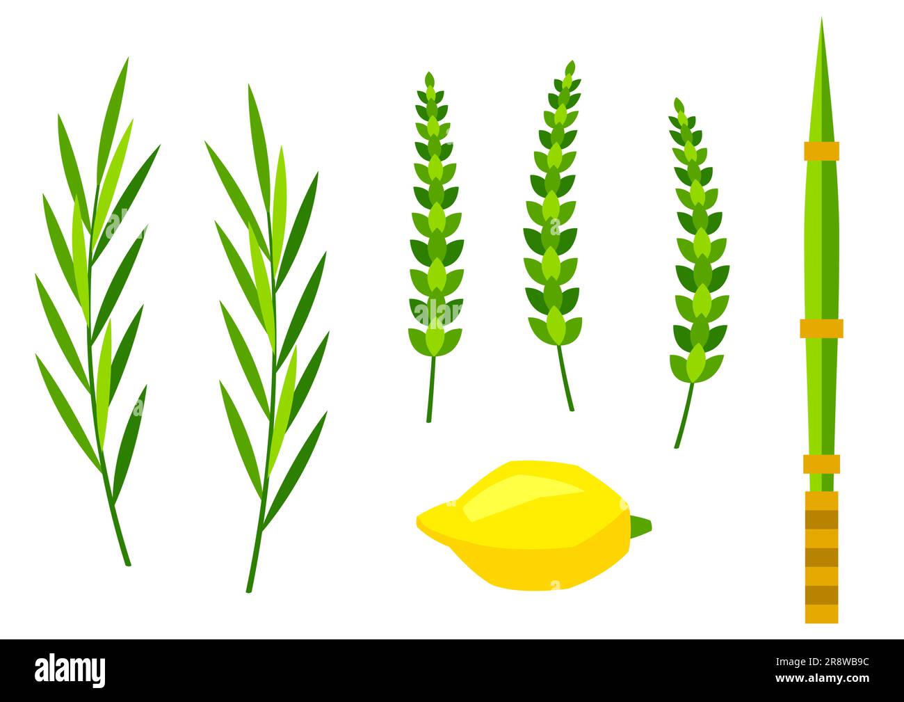 Happy Sukkot symbols. Four species etrog, lulav, willow and myrtle ...