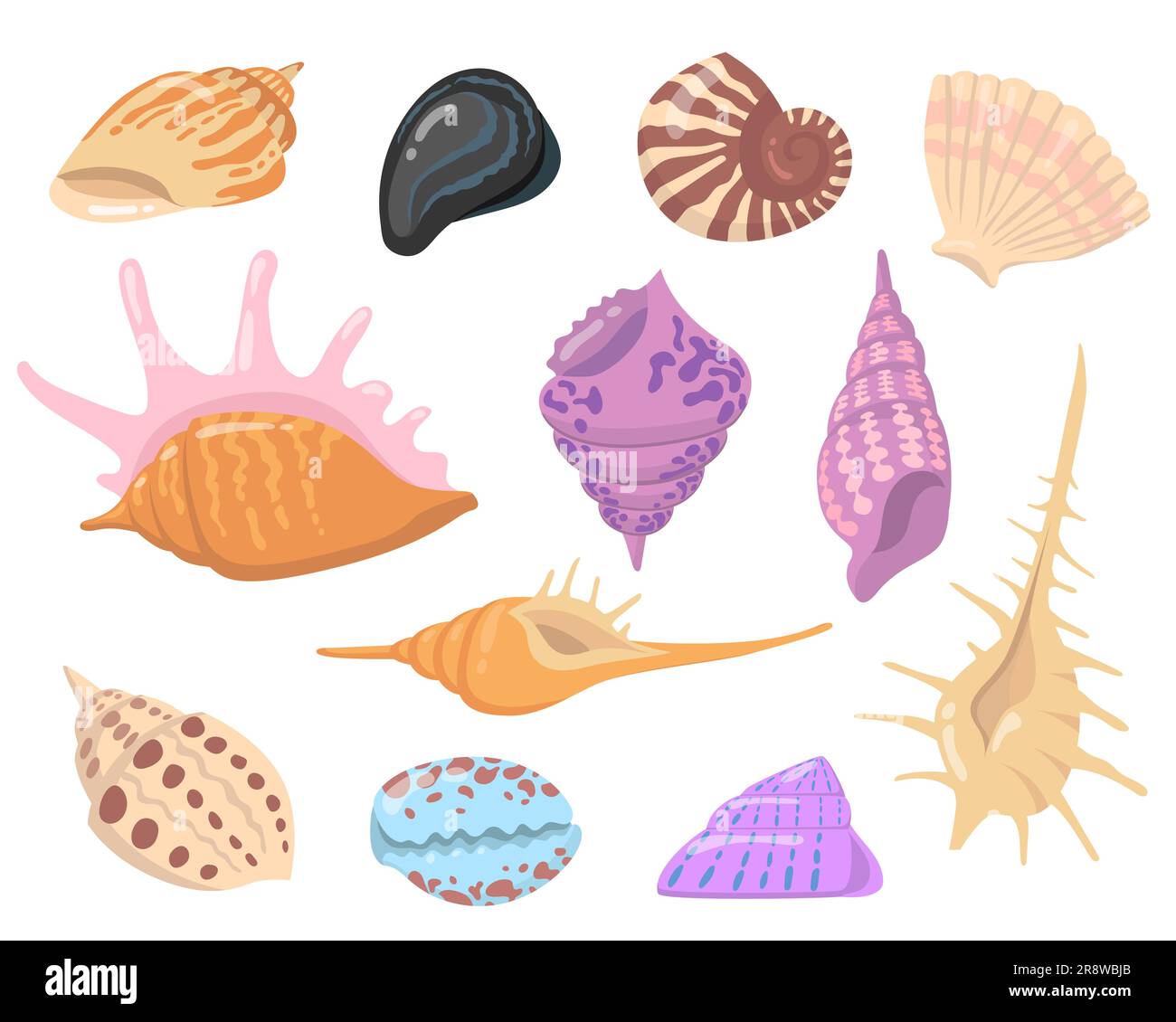 Seashell collection cartoon shellfish and coral hi-res stock ...