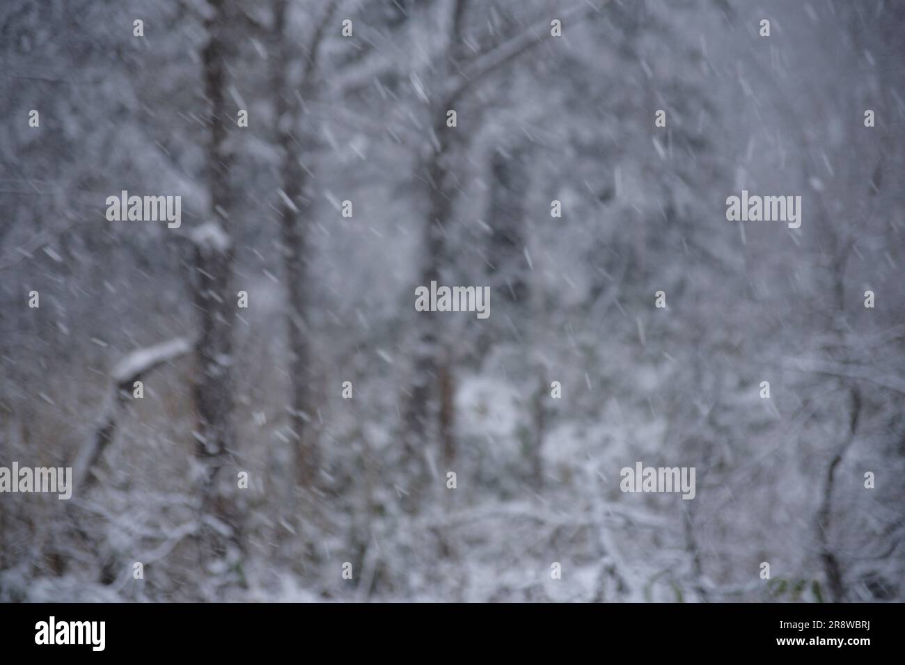 First snowfall winter hi-res stock photography and images - Alamy