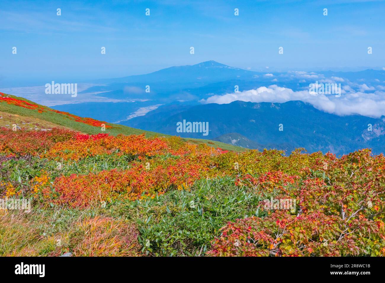 Foot of Mt. Gassan and Mt. Chokaisan in Autumn Stock Photo - Alamy