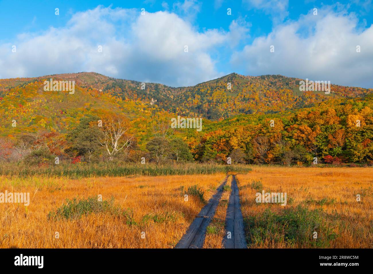 Gozaisho wetlands hi-res stock photography and images - Alamy