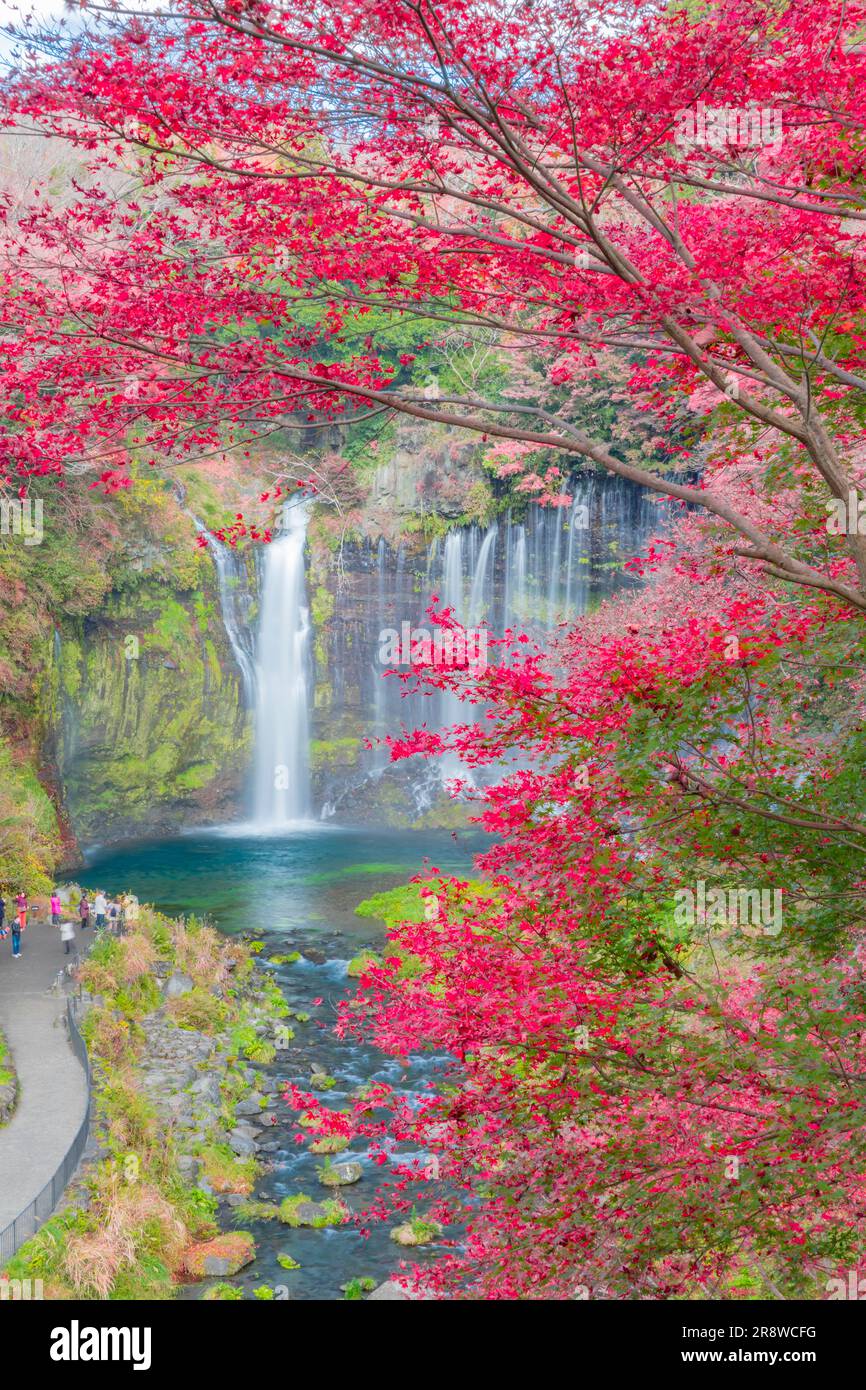 Shiraito waterfalls in shizuoka hi-res stock photography and images - Alamy