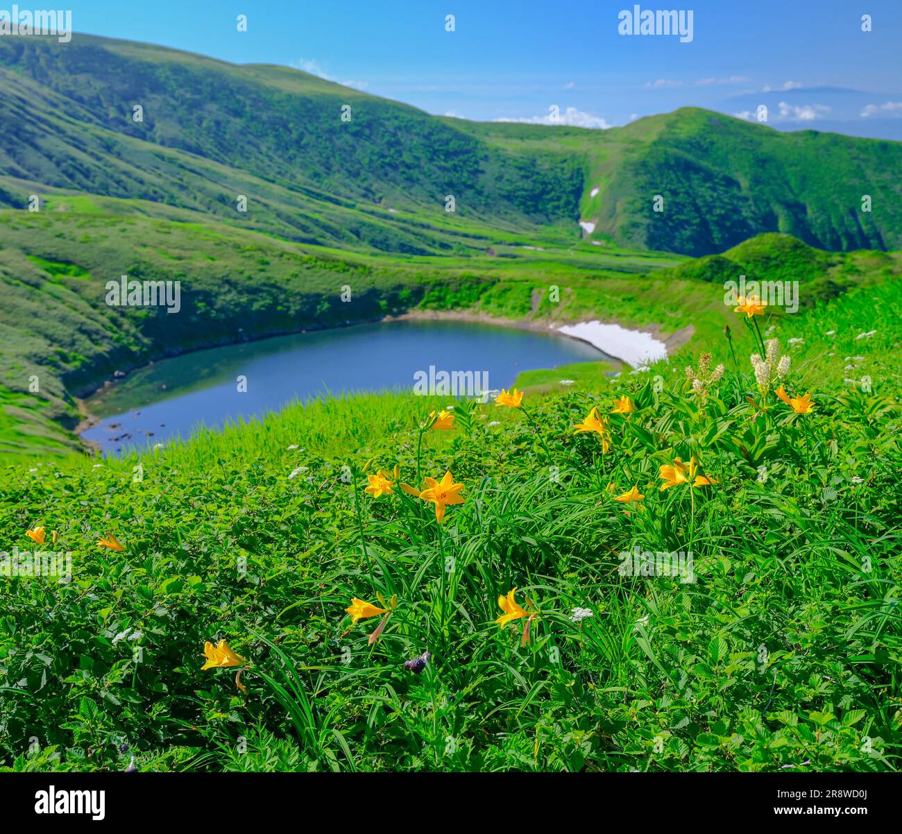 Nikkoh sedge and Lake Chokai Stock Photo - Alamy