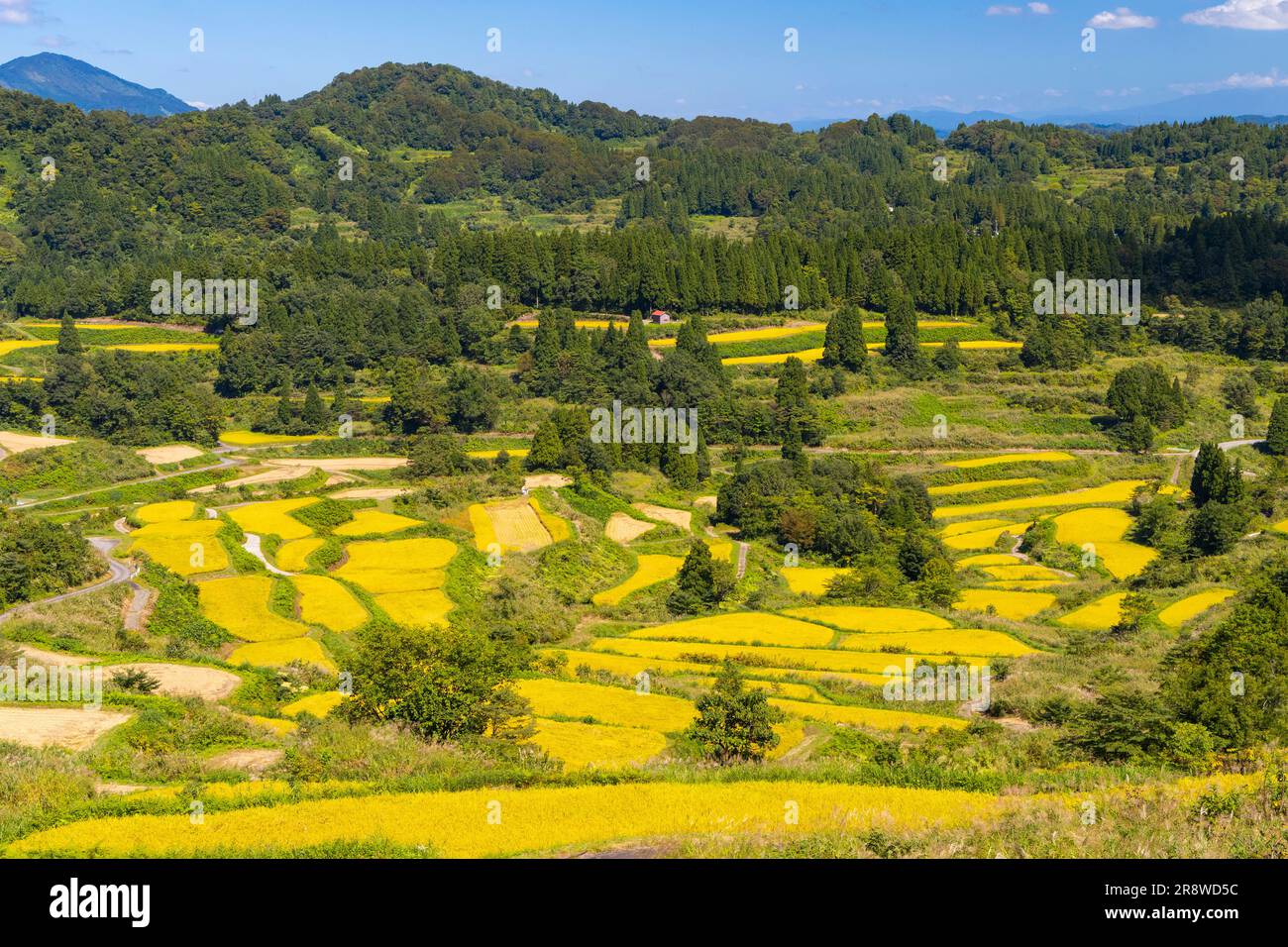 Rice terraces of Hoshitoge Stock Photo - Alamy