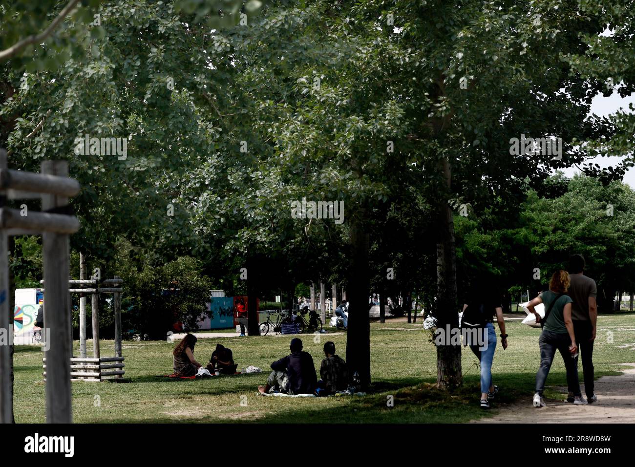 Berlin, Germany. 22nd June, 2023. People sitting under trees in ...