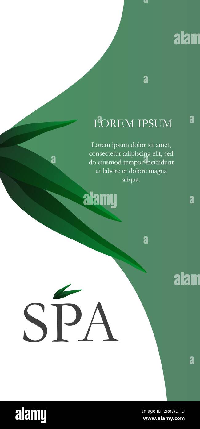 Spa lettering with tropical leaves Stock Vector Image & Art - Alamy