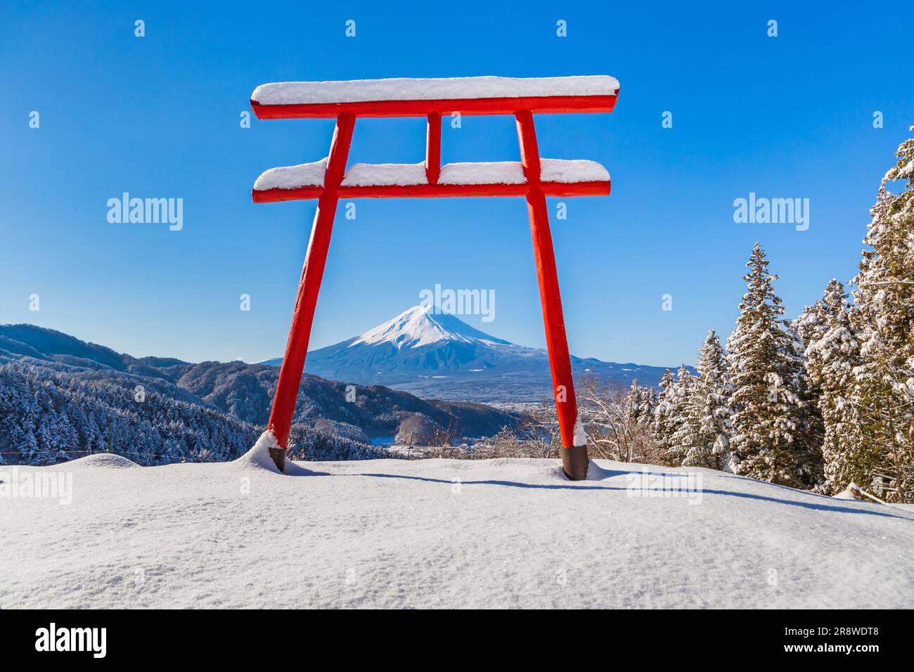 Torii gate of Kawaguchi Sengen Shrine and Mt Stock Photo - Alamy