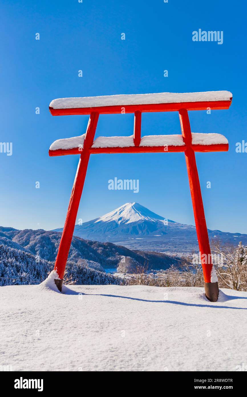 Torii gate of Kawaguchi Sengen Shrine and Mt Stock Photo - Alamy