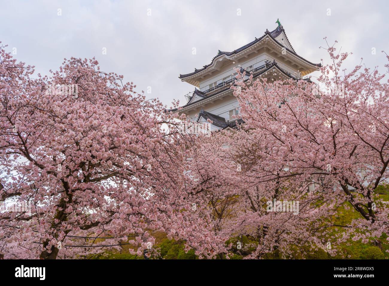 Odawara castle in kanagawa hi-res stock photography and images - Alamy